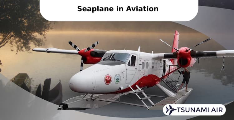 Seaplane: Definition, Function, Types, Size, History
