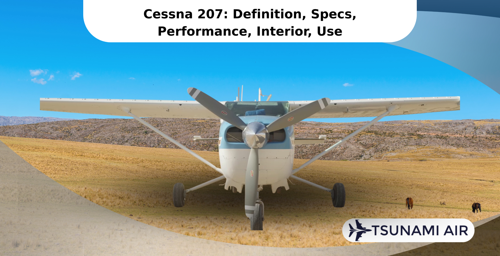 Cessna 207: Definition, Specs, Performance, Interior, Use