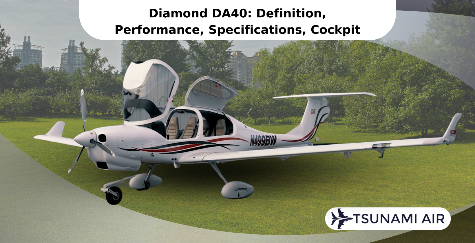Diamond DA40: Definition, Performance, Specifications, Cockpit